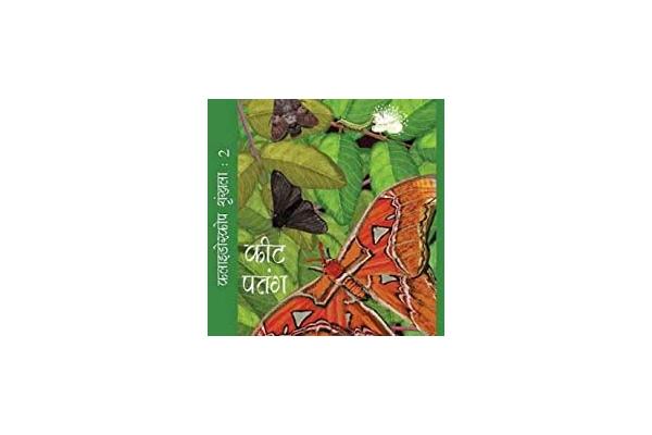 Kaleidoscope 2 - Keet Patang