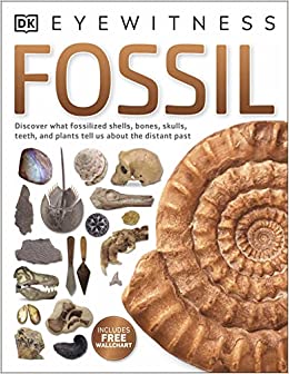 DK Eyewitness : Fossil